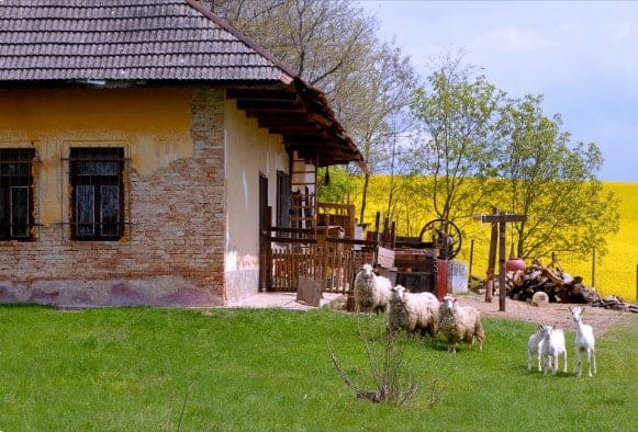 Casa Na Roça Simples: Uma Fuga Para O Estilo De Vida Rural