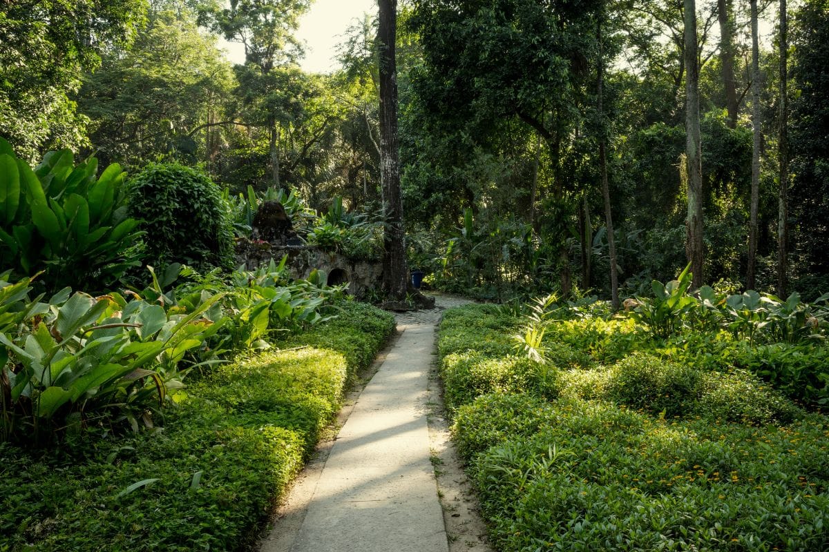 7 Parques Urbanos Mais Incríveis Do Brasil: Curiosidades Sobre As Áreas ...