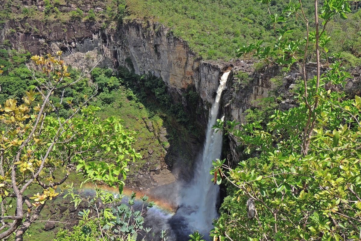 7 Parques Urbanos Mais Incríveis Do Brasil: Curiosidades Sobre As Áreas ...